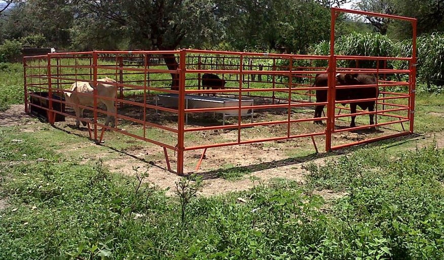 Corrales para bovinos